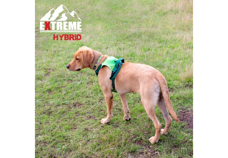 Extreme Hybrid Harness Field Green L