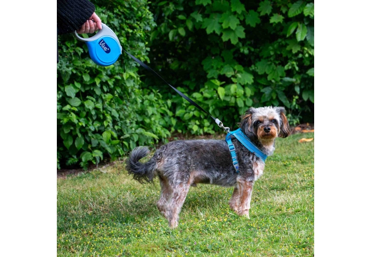 Viva Retractable Dog Lead