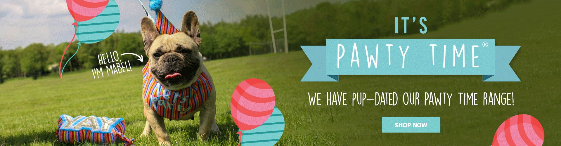 Homepage Ancol Pet Products Limited